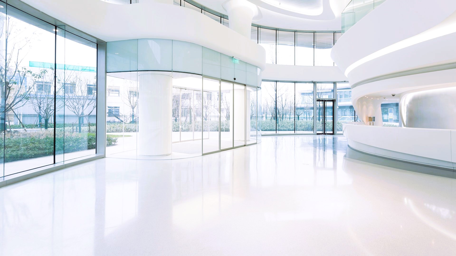 An Inside Look at Calgary's Commercial Window Companies: From Offices ...
